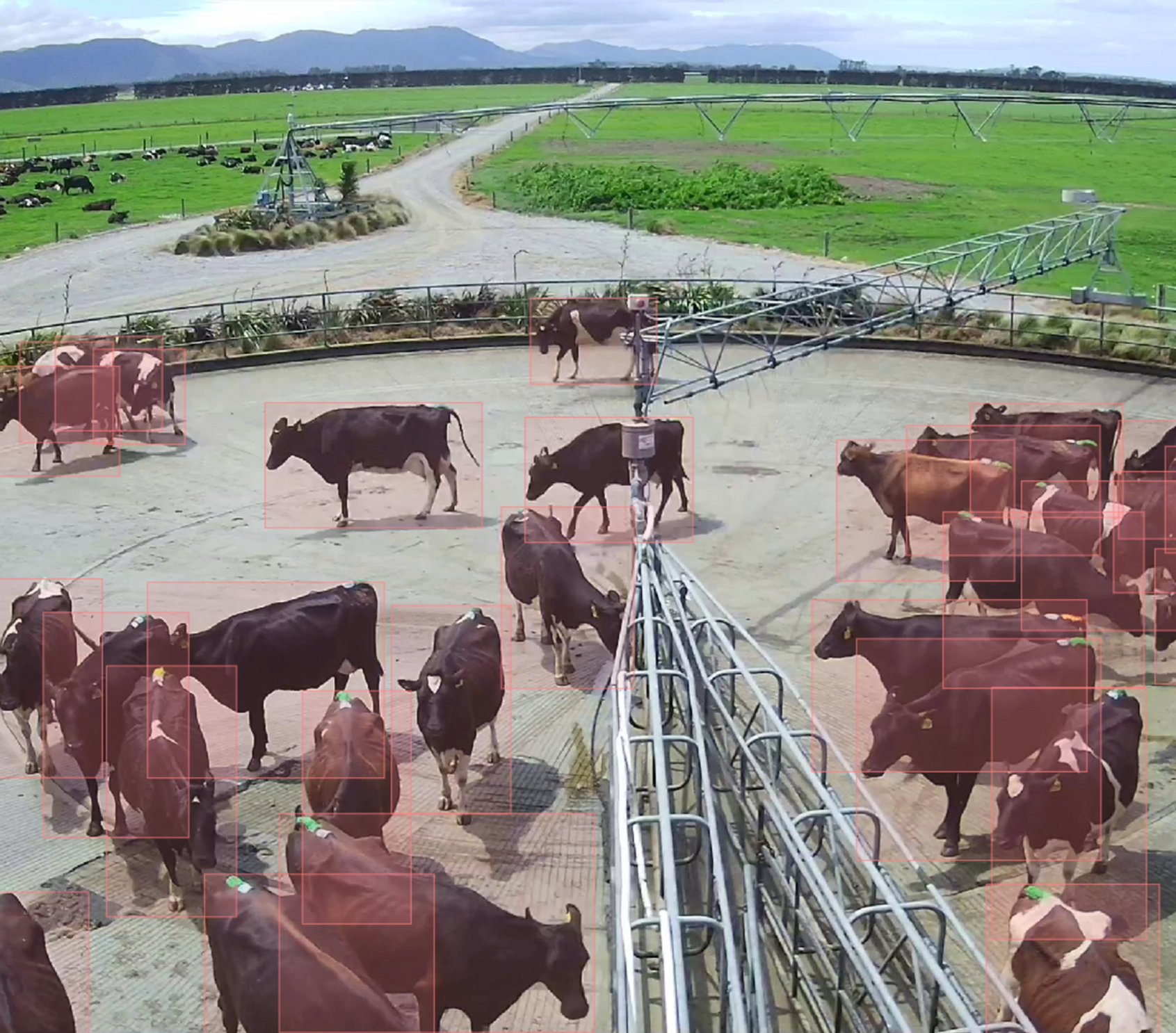 Greater returns through animal wellbeing